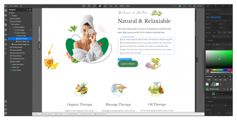 How to Use Webflow Templates: A Comprehensive Guide - HasThemes Blog