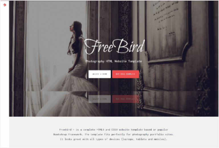 16 Best Professional Photography Website Templates to build a website ...