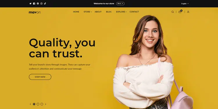 30+ Envato Shopify Themes for Your Business - HasThemes Blog
